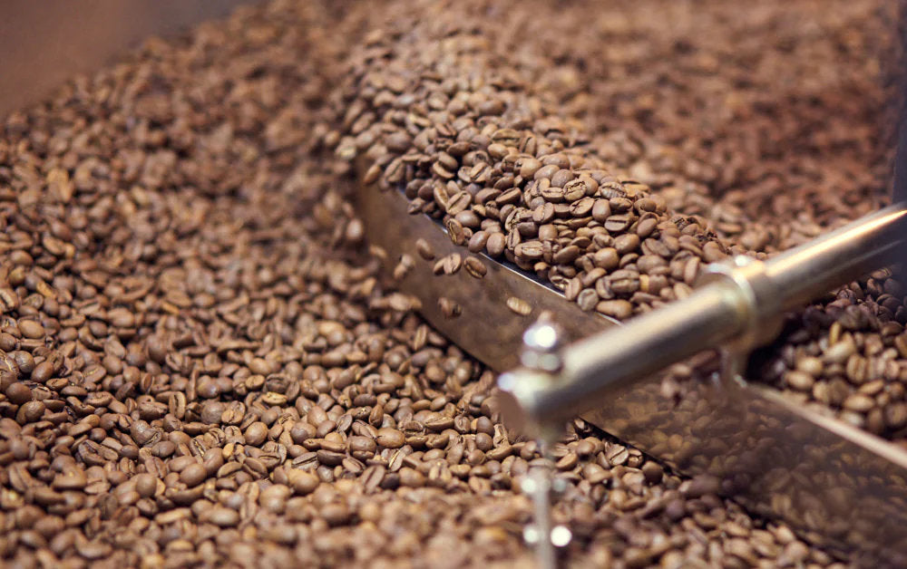 Günter Coffee | Specialty Coffee Roastery from Germany